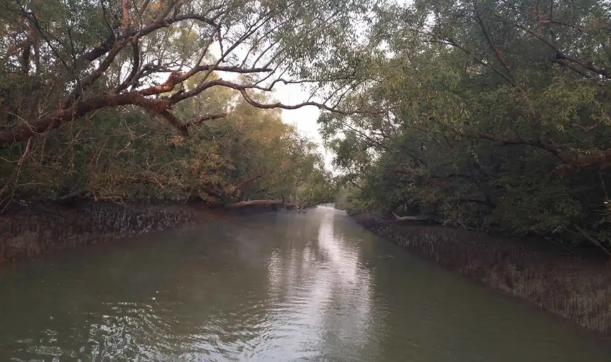 Sundarbans Tour Package from Dhaka in 2026